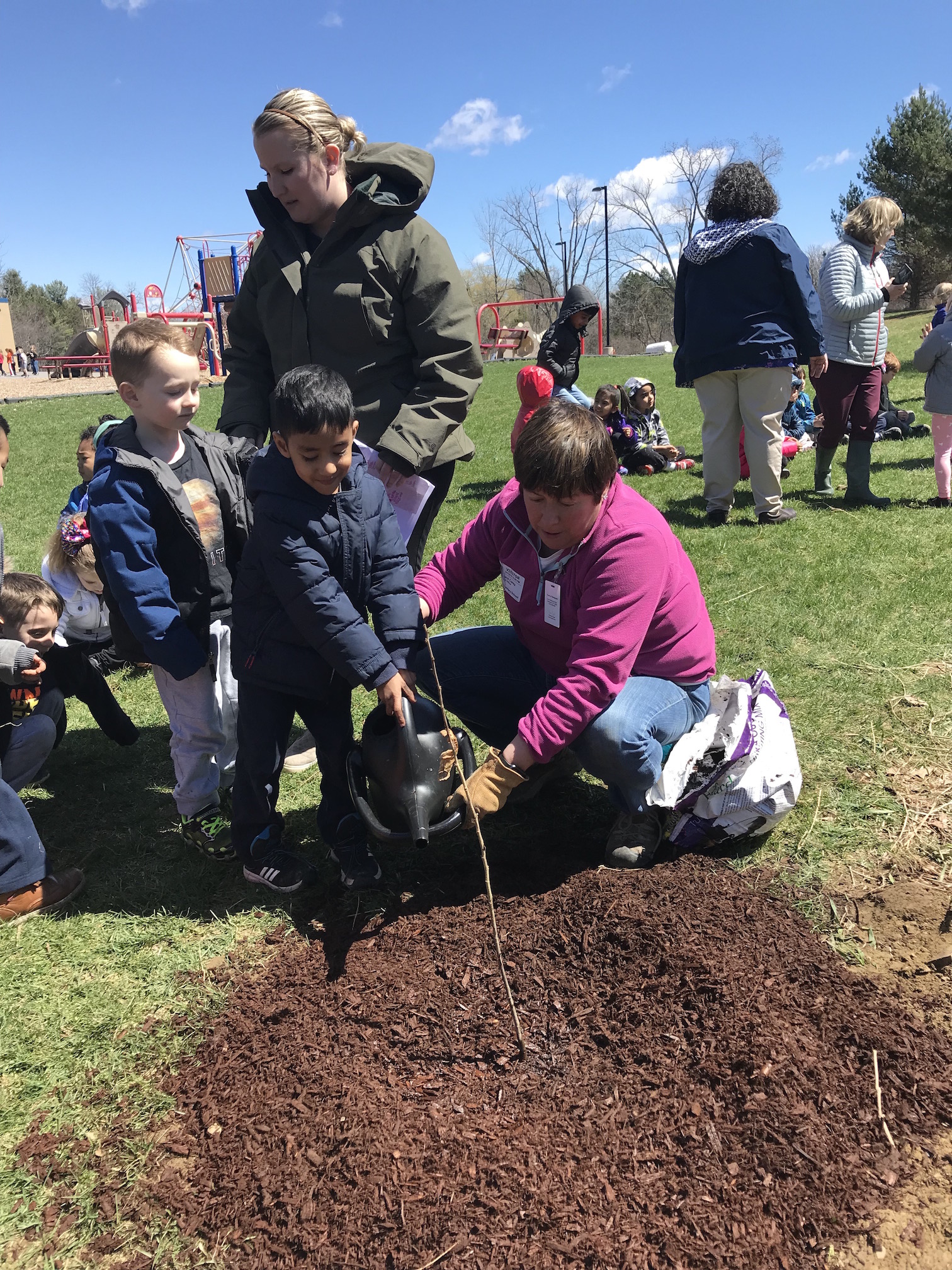 Planting American Chestnut Trees with Niskayuna Elementary School ...